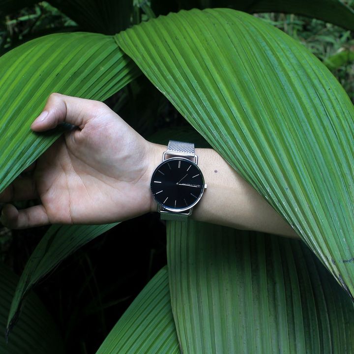 Introducing Colton James – The One to Watch | the living habitat